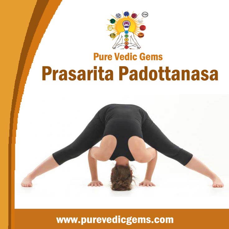 PRASARITA PADOTTANASANA
