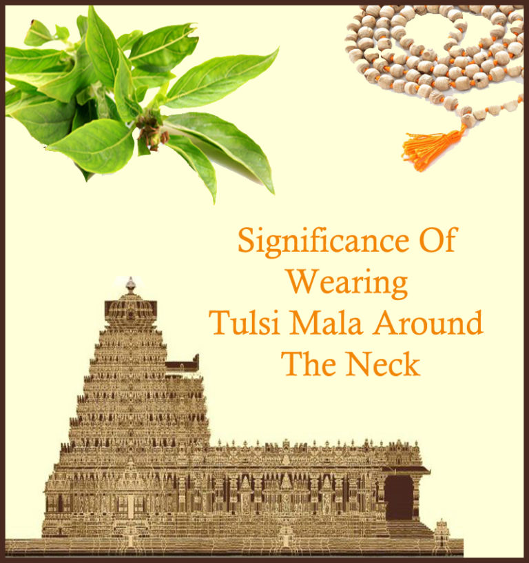 Tulsi wood mala, which is in the family of basil, and is the most ...