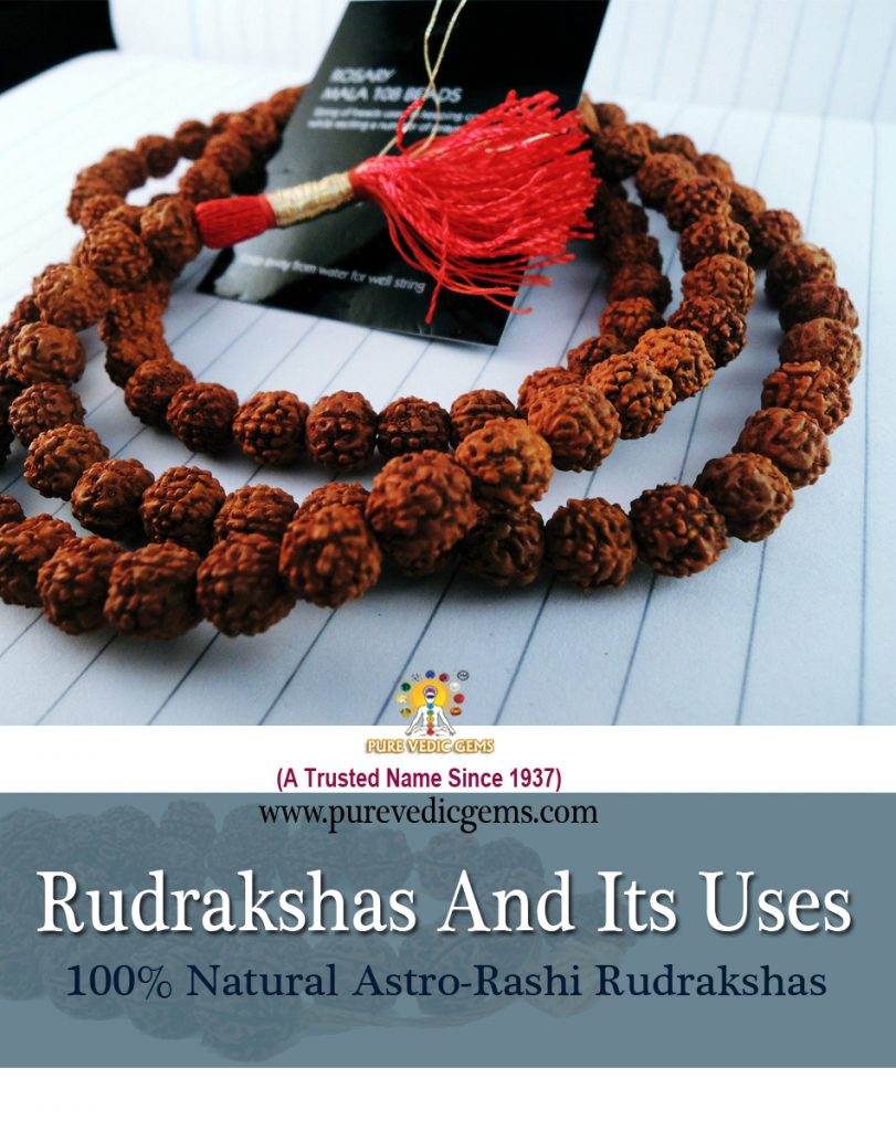 Rudrakshas And Its Uses
